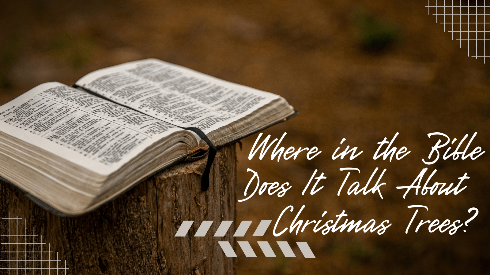Where in the Bible Does It Talk About Christmas Trees? – Tree Treasures